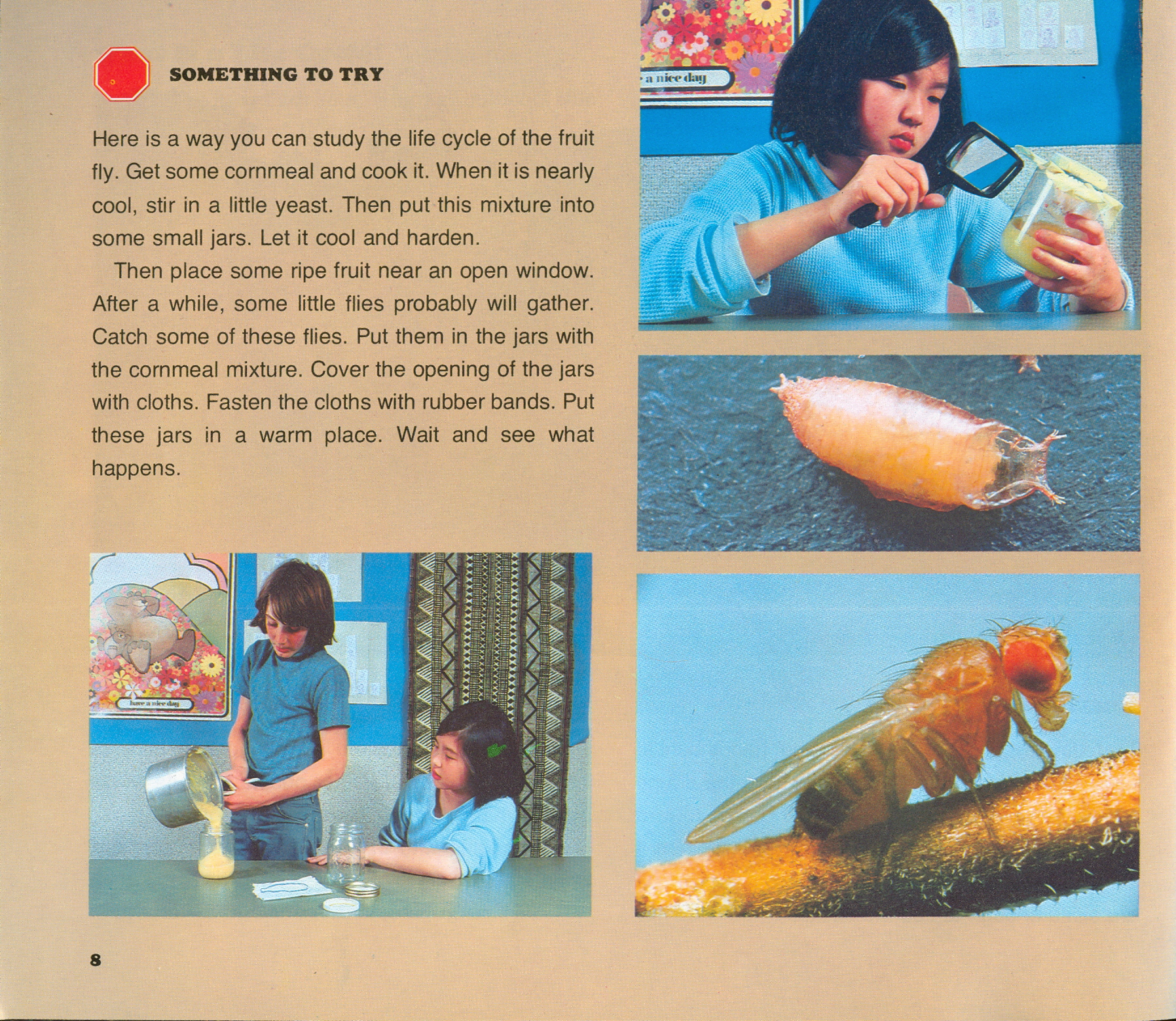 Addison-Wesley science